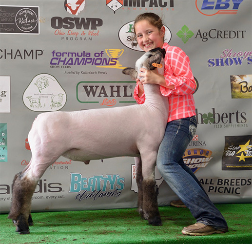 2018 Champions | Shroyer Show Stock